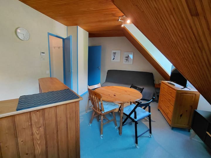Ambiance Chalet, Vue Montagne, Parking, 2 Ad+2 Enf - Luz-Saint-Sauveur
