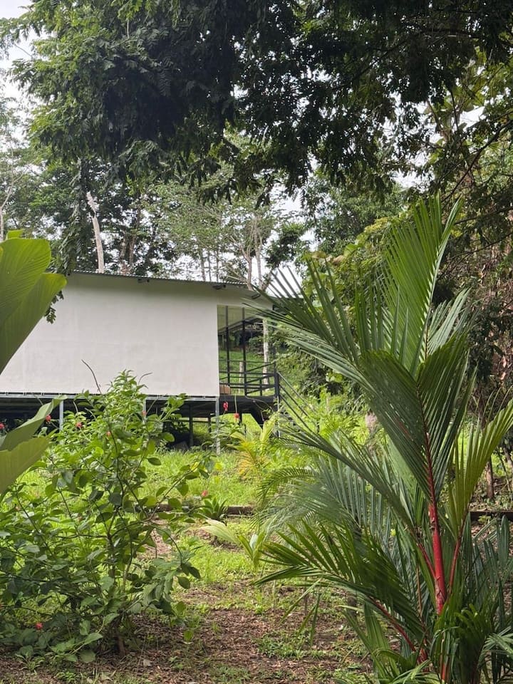 Jungle Cabin | 5 Min To Montezuma Beach - Puntarenas