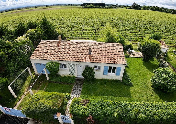Maison Familiale 8 Pers. Arvert Proche Plages - La Tremblade