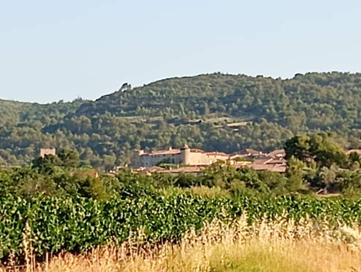 Maison De Village Dans Le Minervois Hérault - Minerve