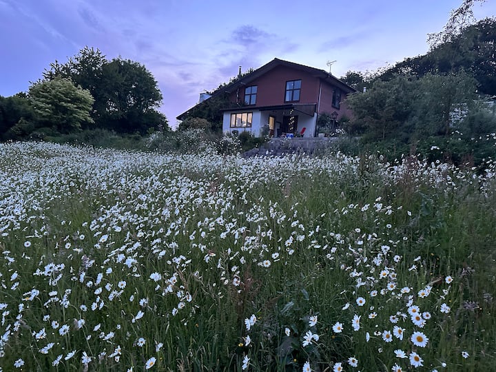 Large House | Private Pool & Country Views - Devon
