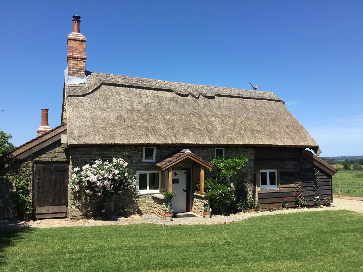 Chocolate box cottage in beautiful Shropshire - Houses for Rent in ...