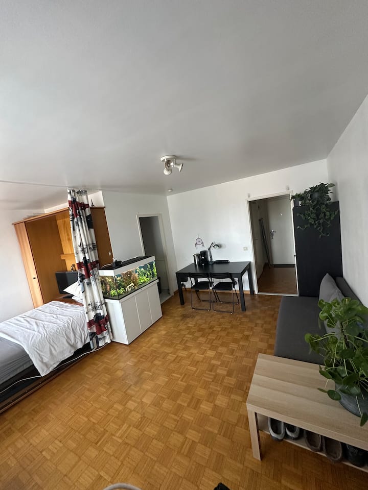 Appartement In Gent - Gante