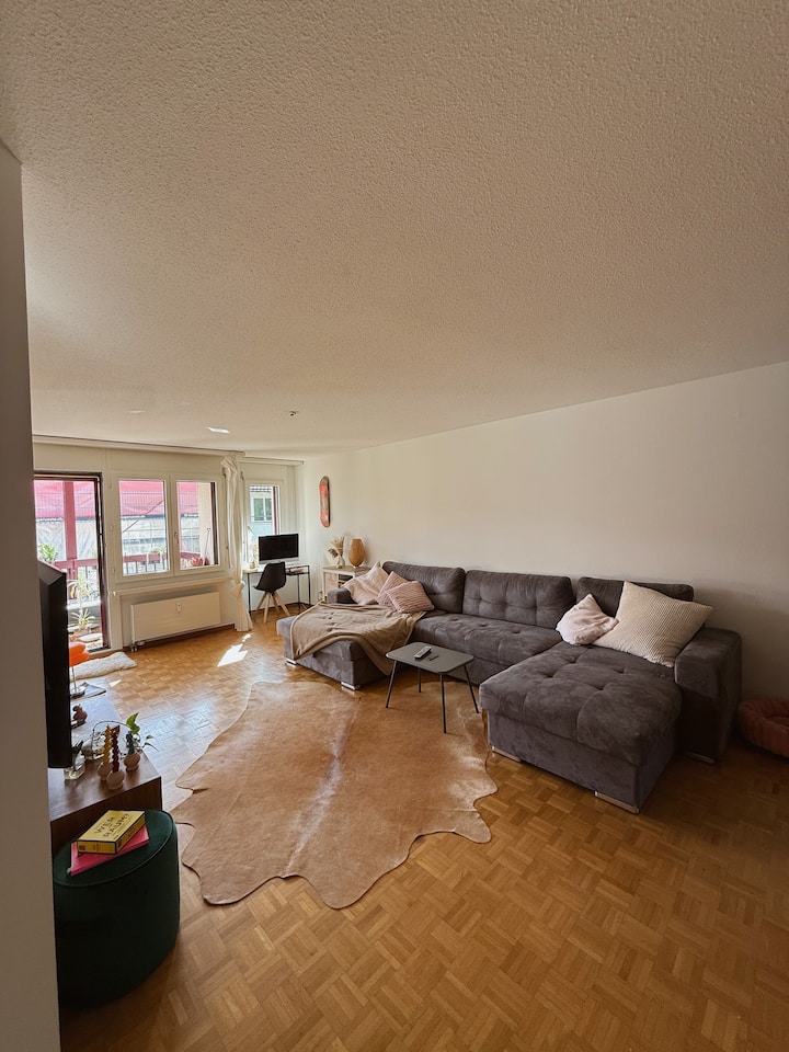 Top-floor Apartment In The Heart Of Zürich - Zurique
