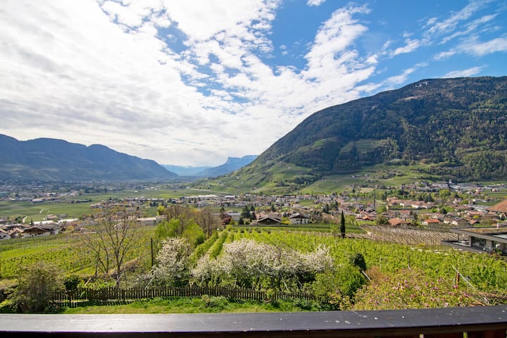 Residence Spisshof Ap11 Haupthaus - Tirol