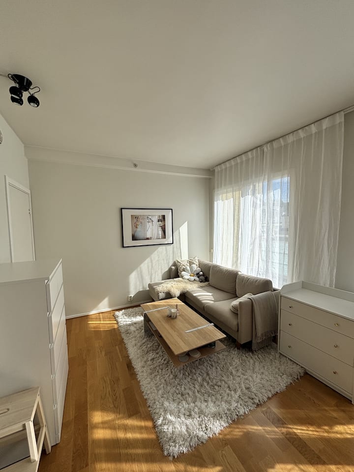 Leilighet I Hjertet Av Oslo - Oslo