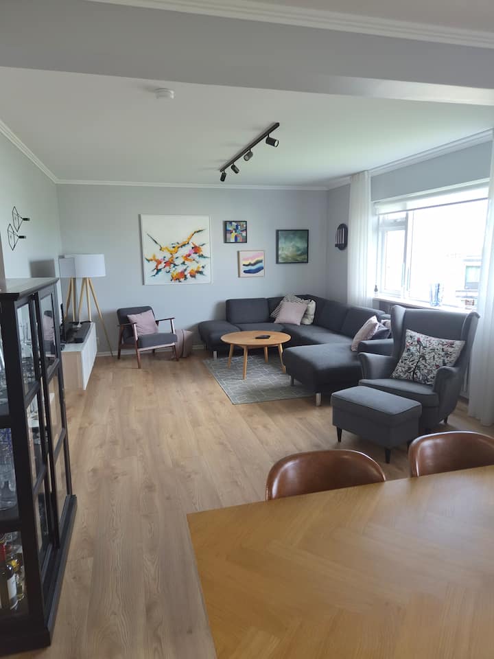 Eskihlidin - Reykjavík