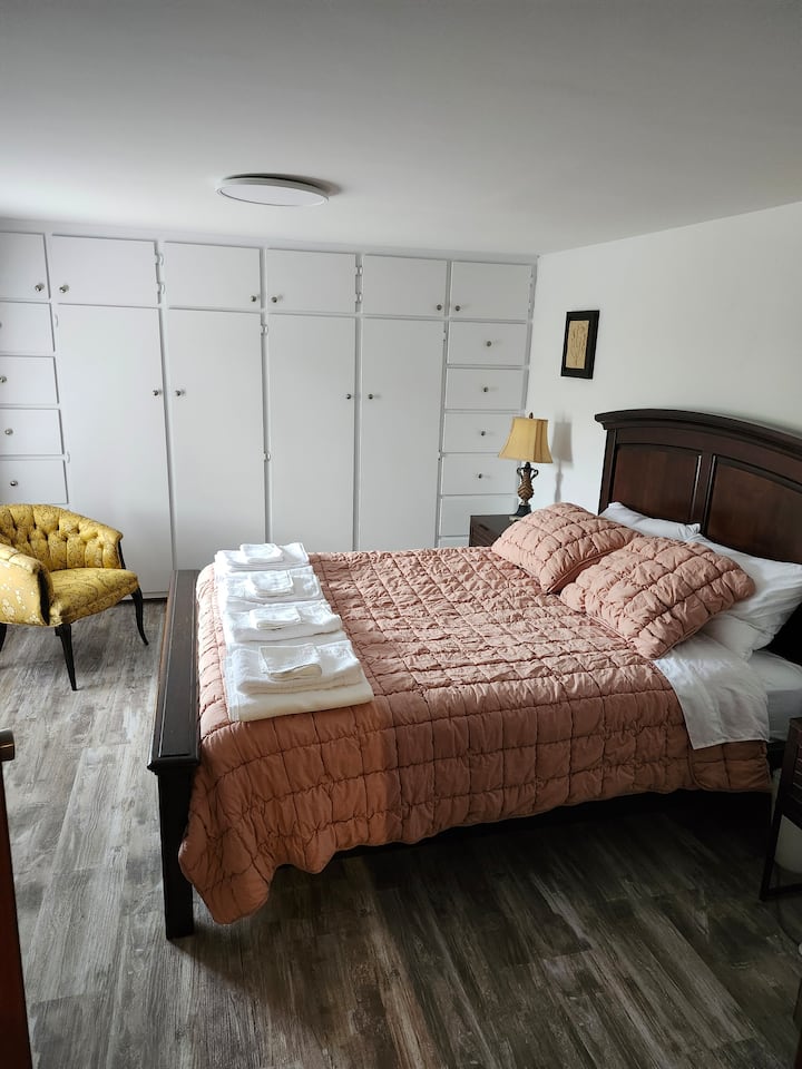 Appartement Rénové Avec Style Et Cour Privée. - Montréal, QC