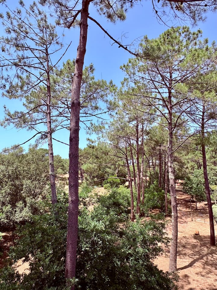 Appartement Dans Une Résidence Au Milieu Des Pins - Carcans Plage