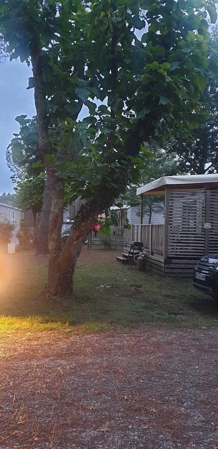 Mobil-home 6 Personnes, Modèle Lodge 87, 40 M2 - Saint-Julien-en-Born