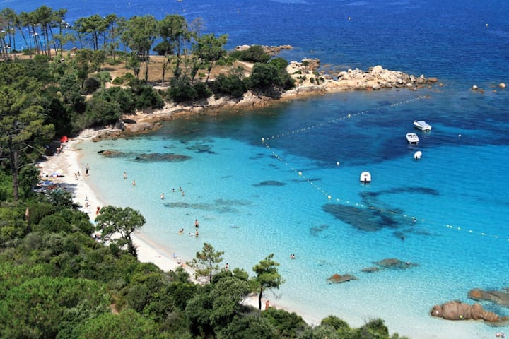 Villa "Jasmin Des Rives" Spa-jardin-parking Privés - Corse-du-Sud