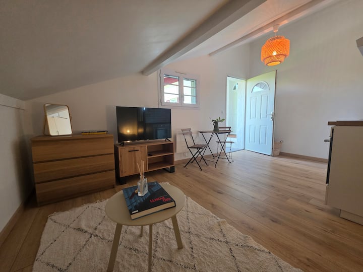 Appartement Avec Terrasse, Plages Et Centre à Pied - Saint-Jean-de-Luz