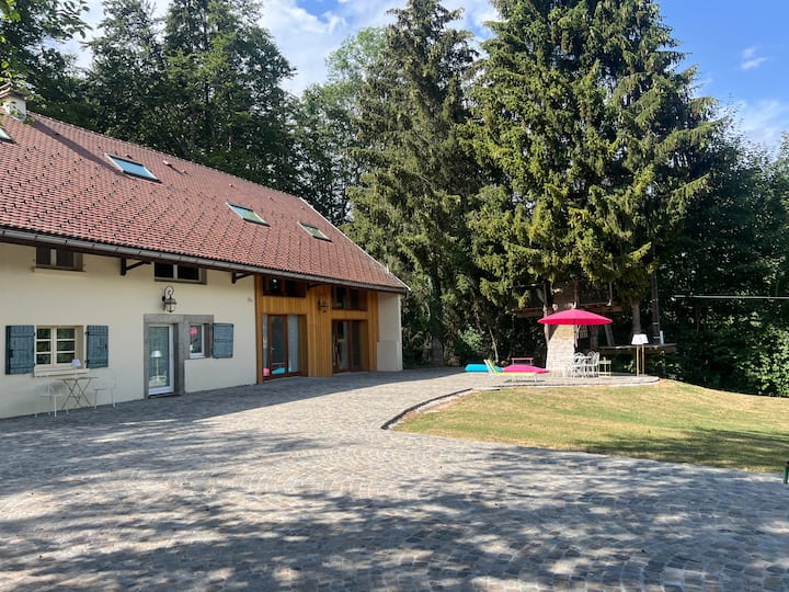 Maison En Forêt, Entre Genève Et Annecy. - Cruseilles
