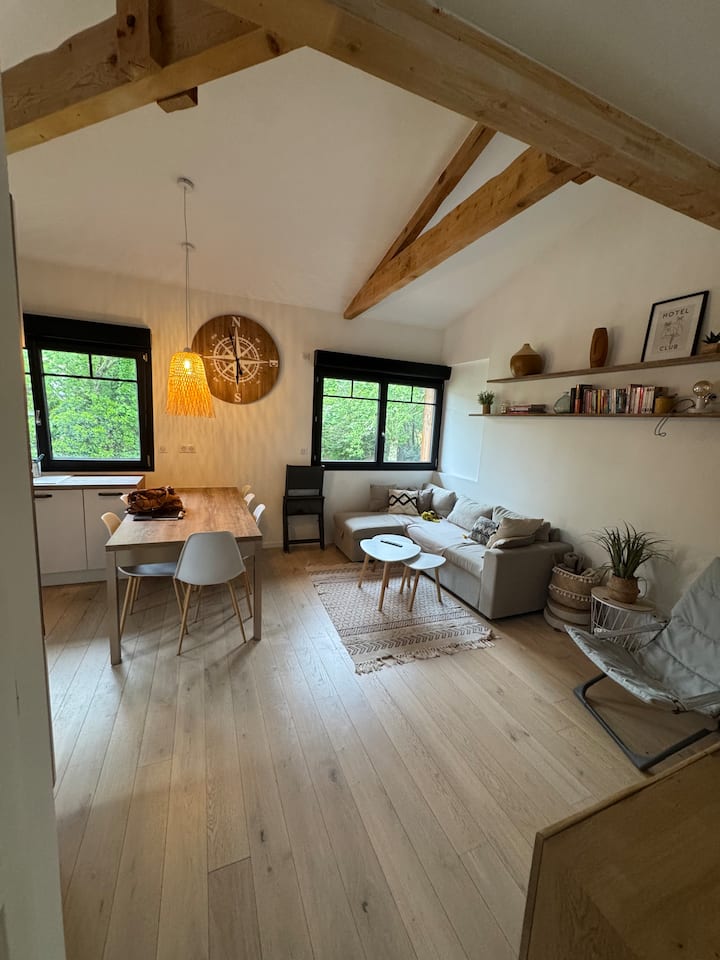Appartement Grand Piquey - Cap Ferret - Cap Ferret