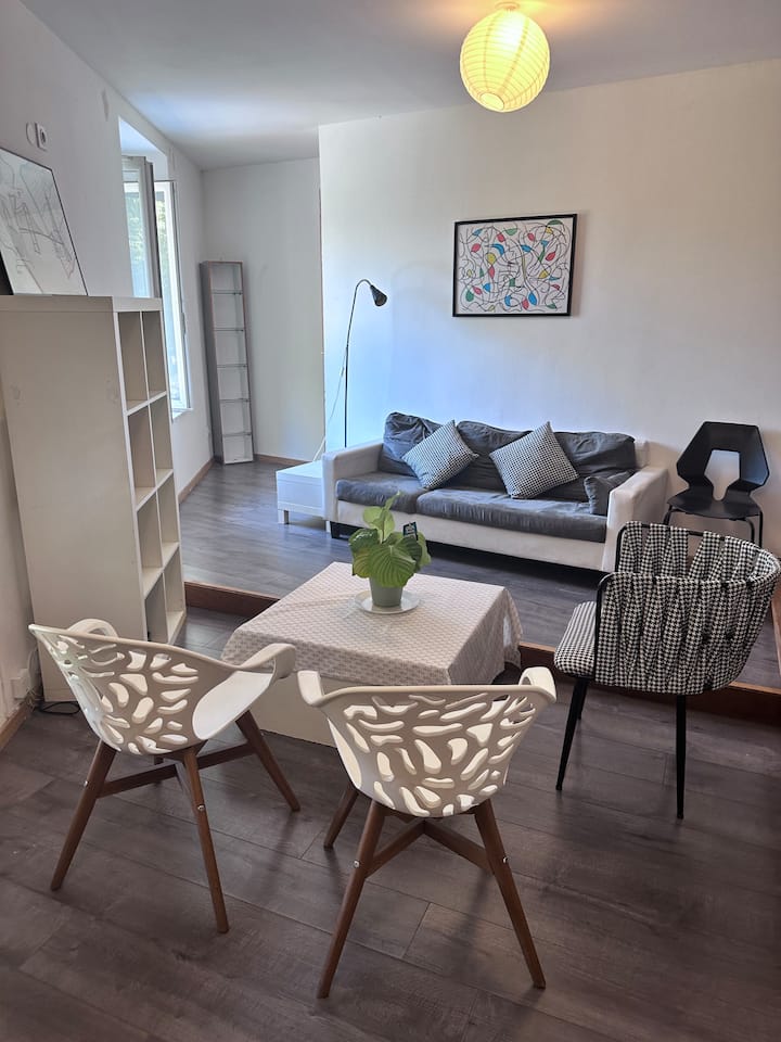 Appartement Spacieux Lyon Centre-ville - Lyon