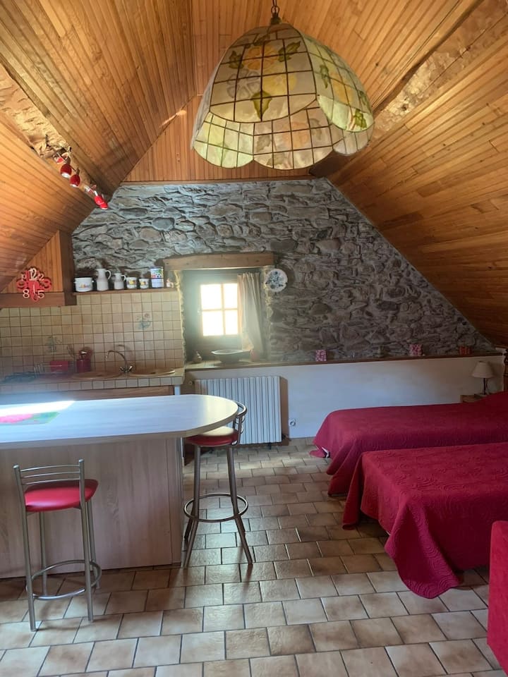 Studio Duplex Au Cœur Des Pyrénées - Luz-Saint-Sauveur