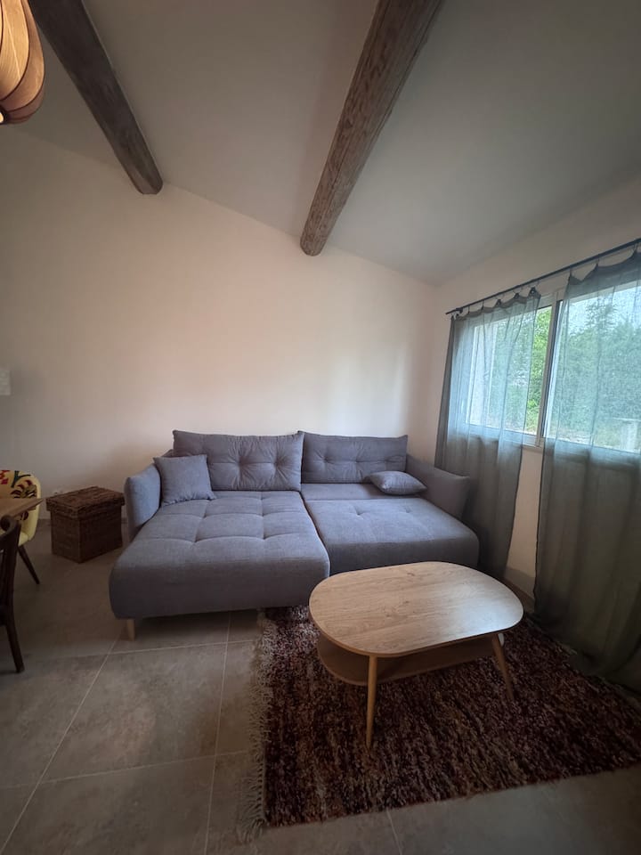 Appartement Calme Avec Jardin, 6 Km De Forcalquier - Forcalquier
