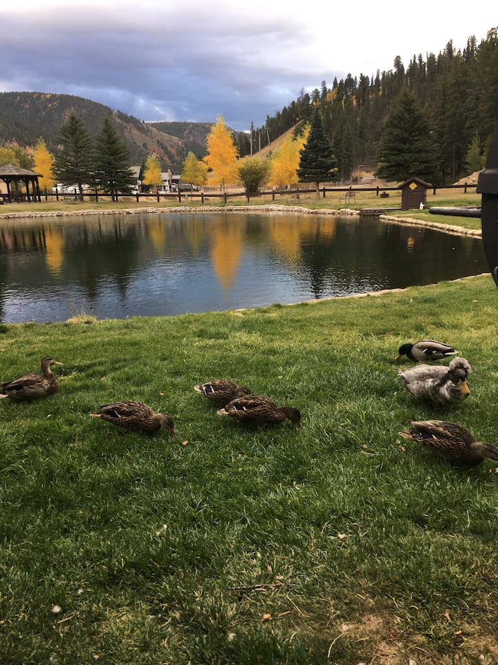 Majestic Mountain Lakeside Retreat #4 - Sleeps 6 - Red River, NM