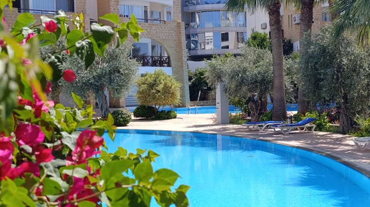 Havuzlu Sitede Casino Ve Eğlenceye Yürüme Mesafesi - 키레니아