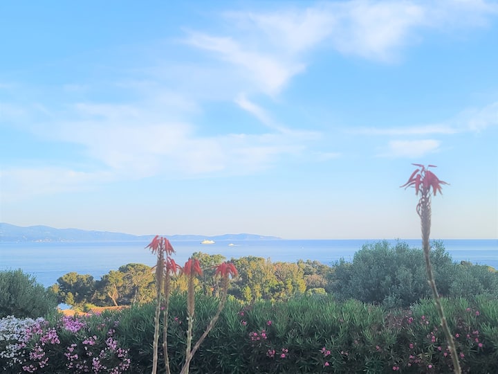 T2 Magnifique Vue Mer Plage Marinella - Ajaccio
