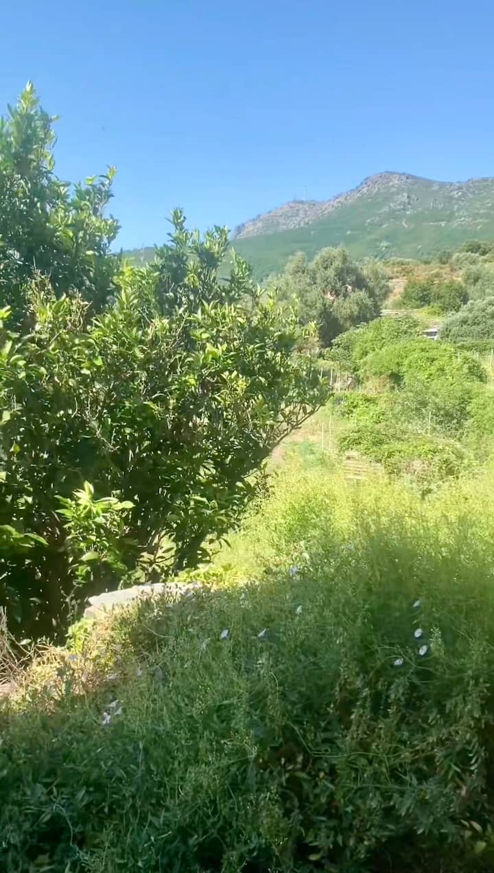 Studio Climatisé, Vue Montagne Terrasse Et Parking - Port de Bastia