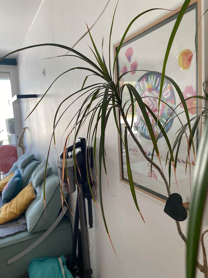 Ti Escale Appartement Cosy à 2 Pas De La Plage - Leucate