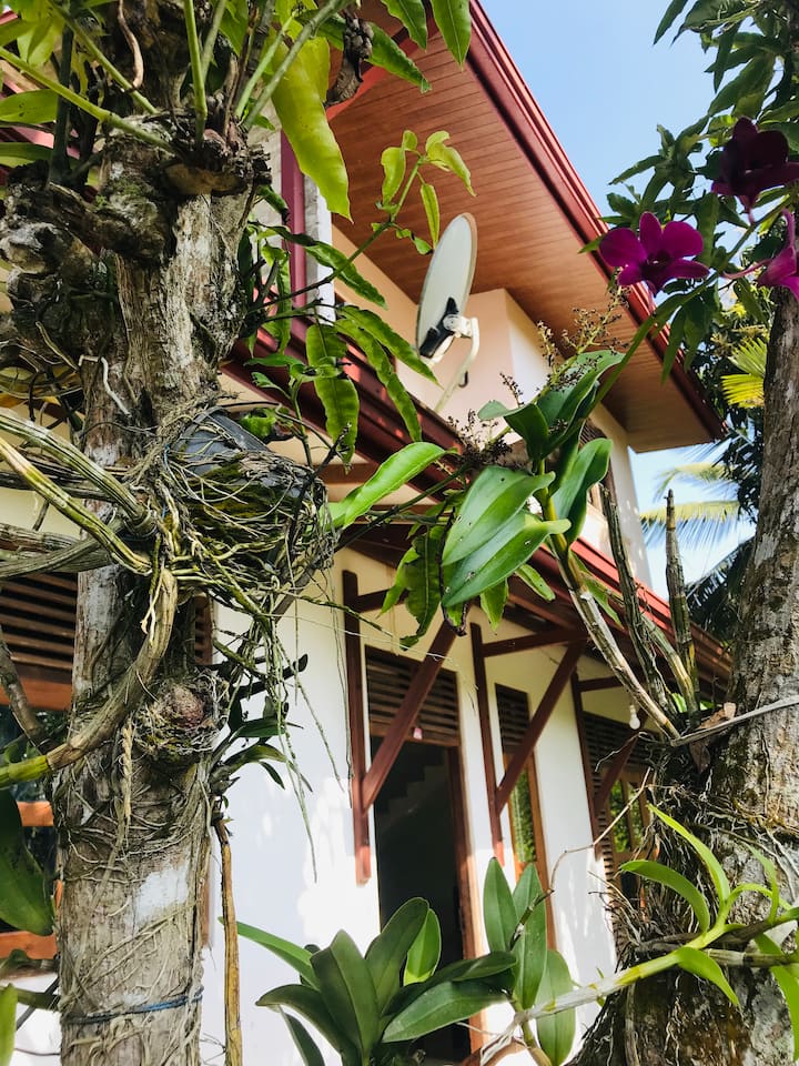 Lasals Homestay - Sri Lanka