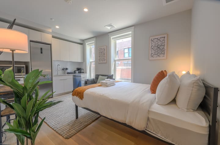 Stunning Studio Apartment On Newbury St! - Charlestown - Boston