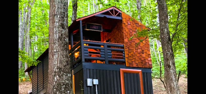 The Roost, W/king Bed And Mtn Views - Black Mountain, NC