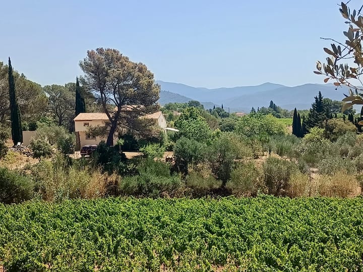 Maison De Campagne Au Cœur Des Oliviers - Pierrefeu-du-Var