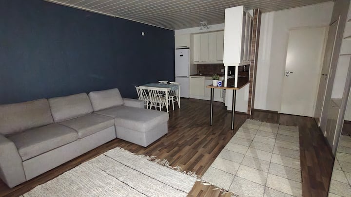 Saunallinen Kaksio, Hyvät Yhteydet Tampereelle - Tampere