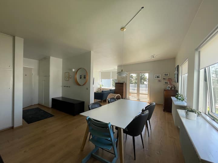Family Apartment In Central Reykjavík - Reikiavik