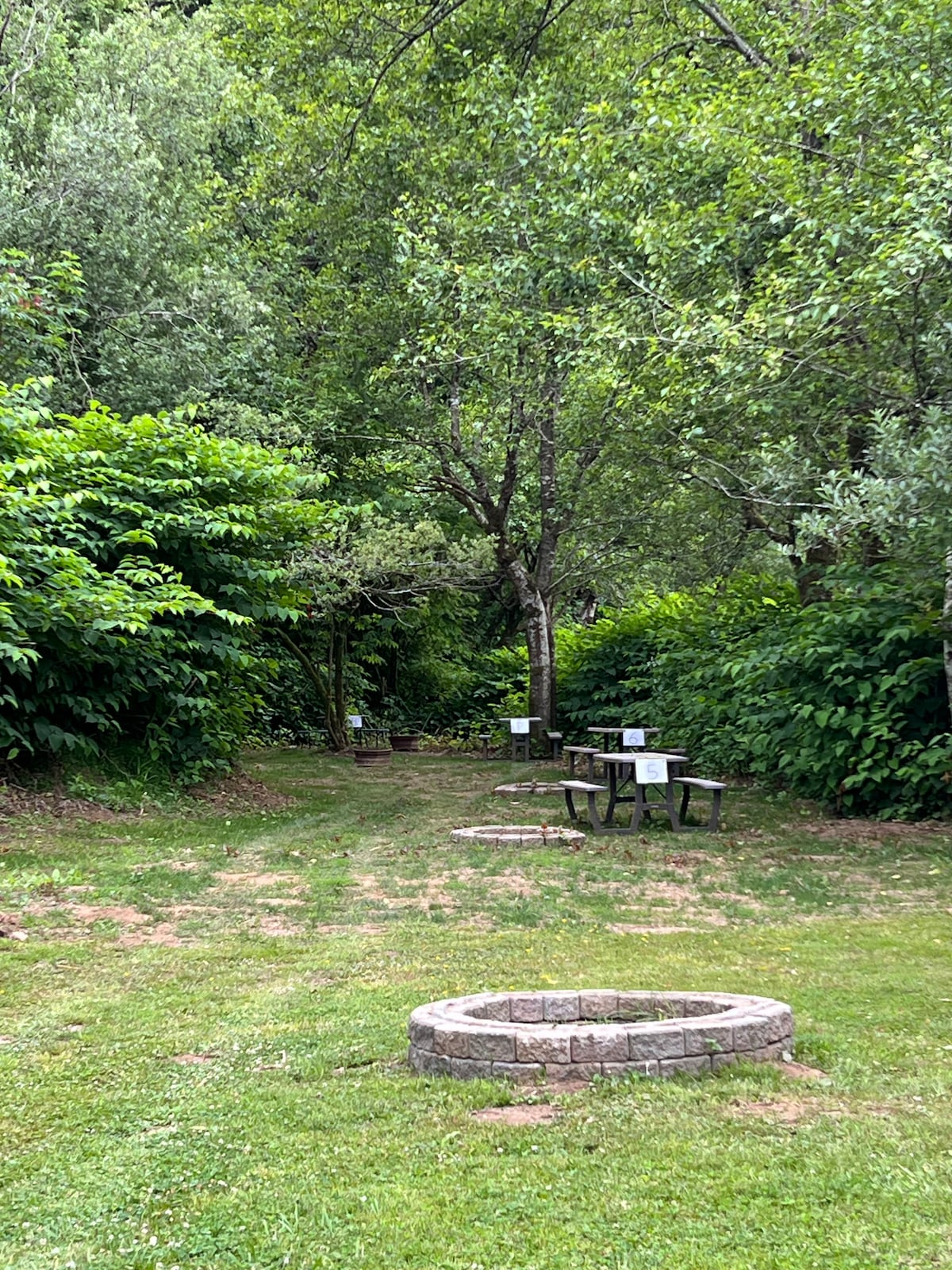 Tent site 8 - Tents for Rent in Tillamook, Oregon, United States - Airbnb