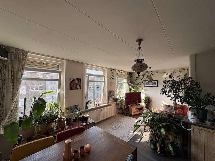 Paleis In De Bos En Lommer - Zaandam