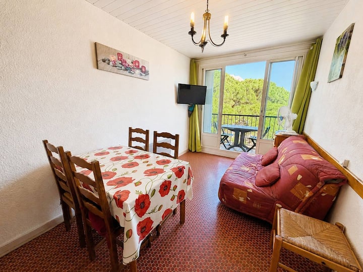 Appartement Avec Balcon, Vue Montagne - Argelès-sur-Mer
