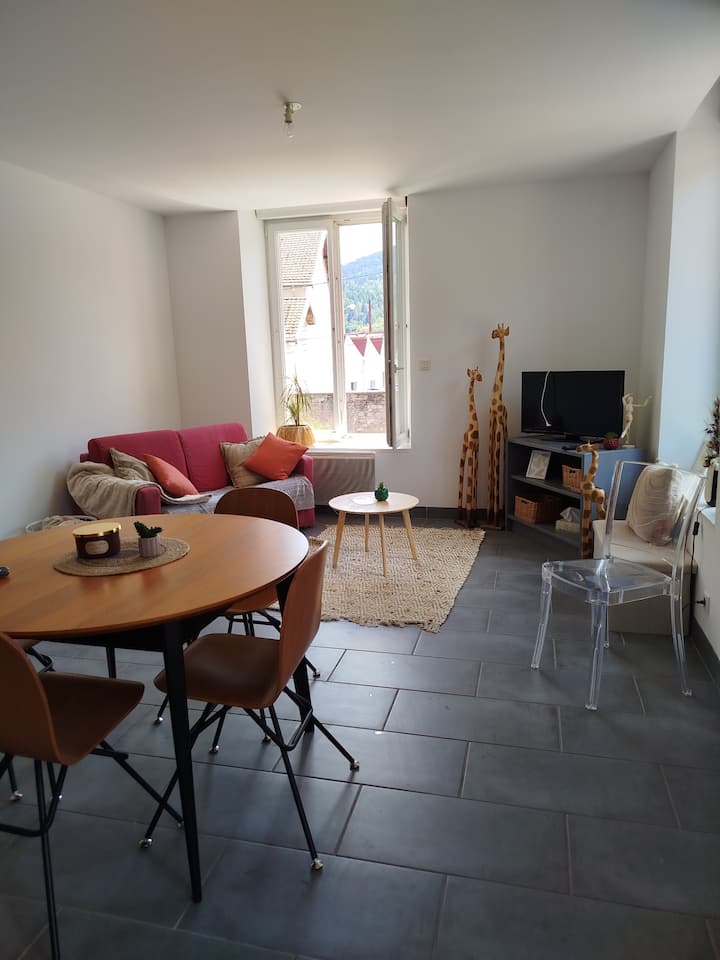 Les Gîtes De Juliane - Appartement Zeller - Saulxures-sur-Moselotte