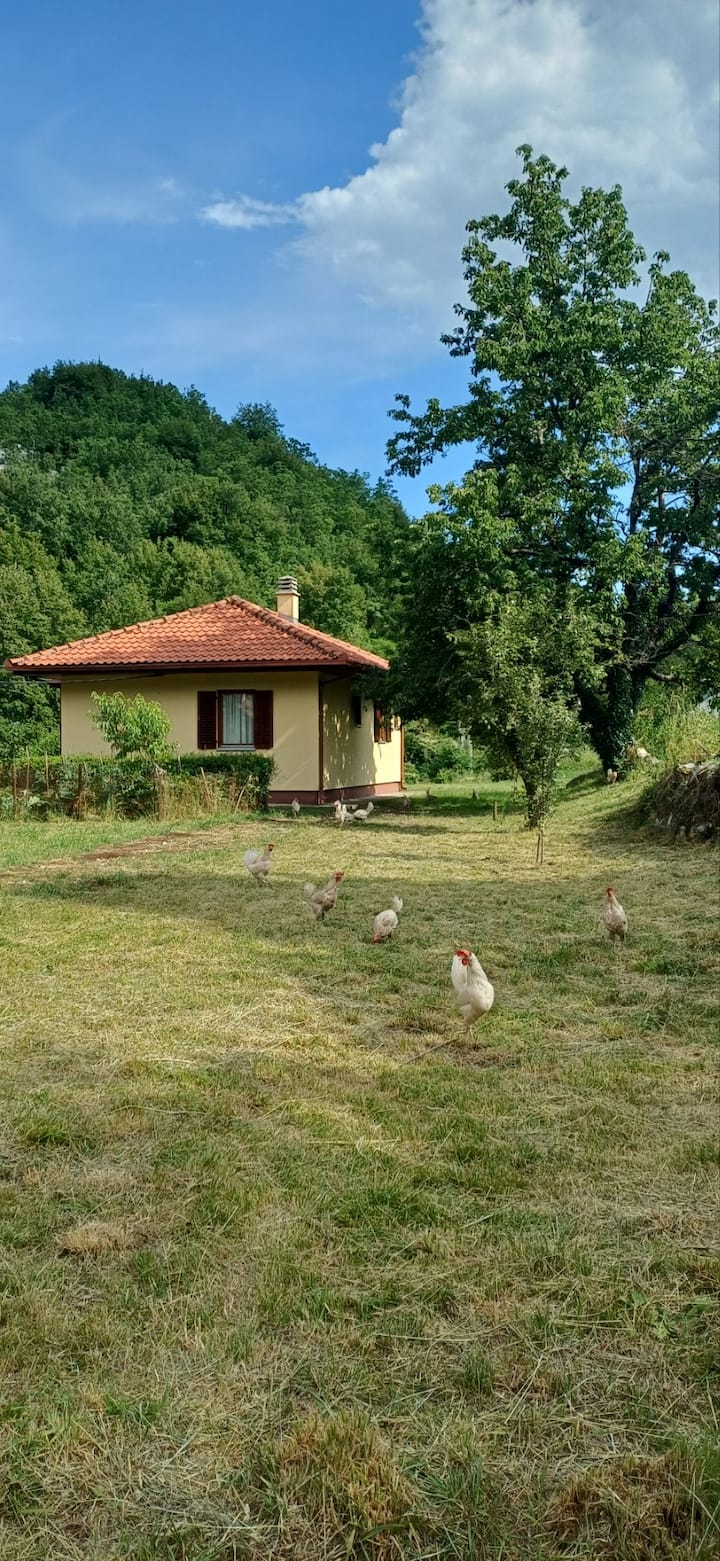 Nature Escape Cottage Near Cetinje - Montenegro