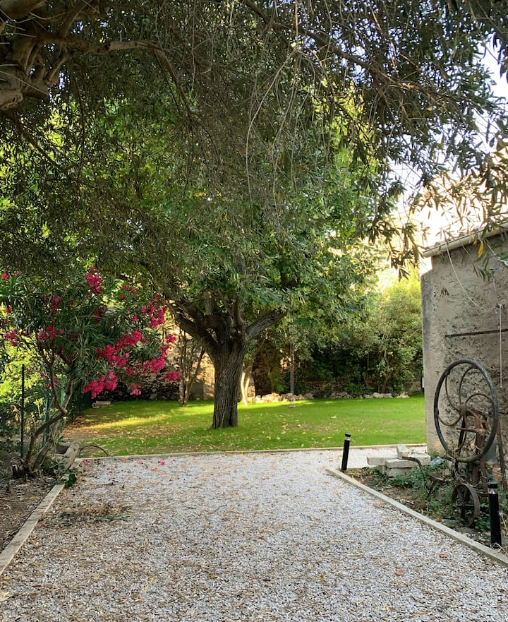 Maison Et Jardin Centre-ville Marseillan - Agde