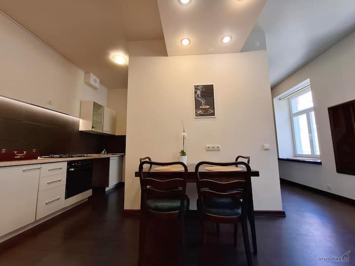 Ligonines9 Old Town Apartment - Vilnius