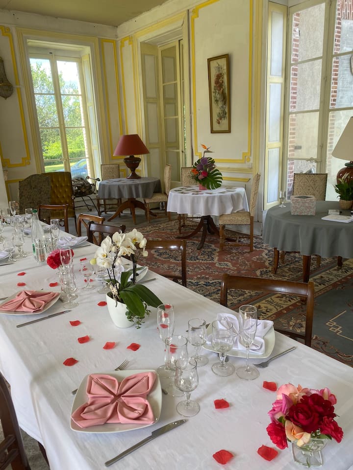 Vieux Château Atypique Dans Un éCrin De Nature - Nogent-sur-Seine