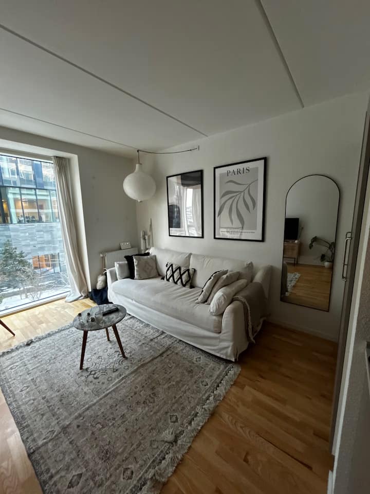 Nice Small Flat In Copenhagen - Copenaghen