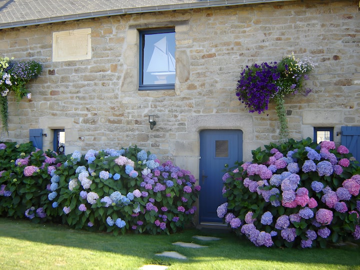 Les Hortensias à 300m De La Mer - Île d'Arz