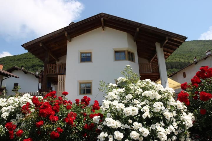 B&b Primavera, Tranquillità E Cortesia - Fai della Paganella