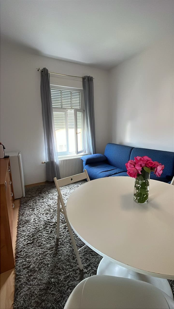 Rosy Entire House - Your Home Away From Home - Ljubljana