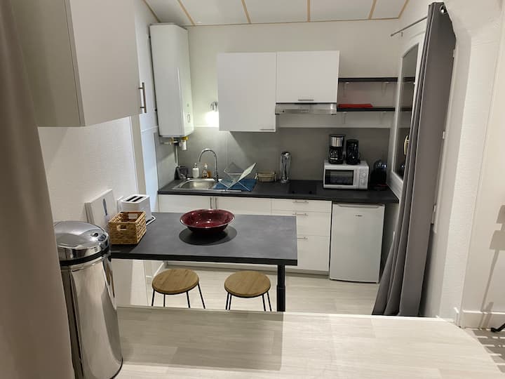 Appartement Saint Genis Laval Proche Lyon - Saint-Genis-Laval