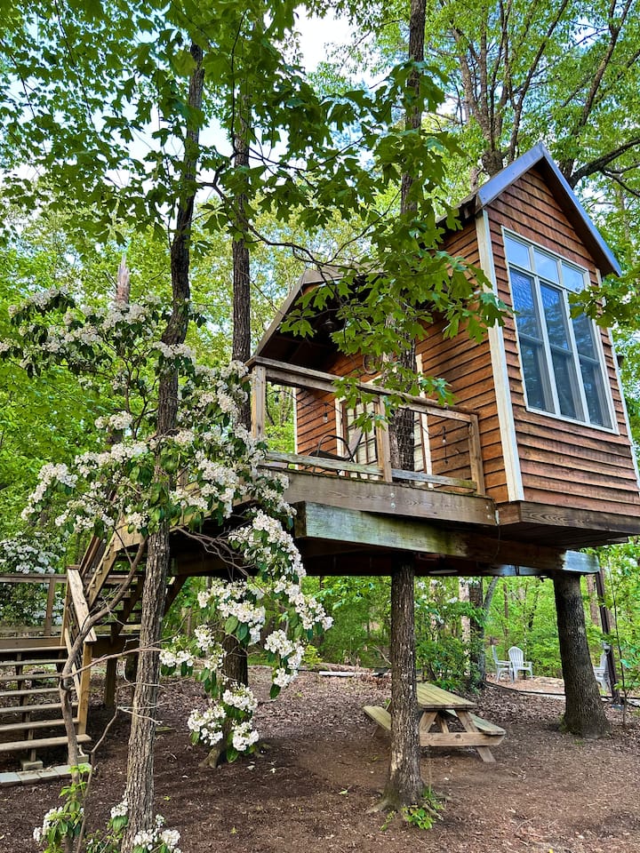 The Lost Treehouse Of Lake Jocassee!! - Keowee Toxaway State Park, Sunset