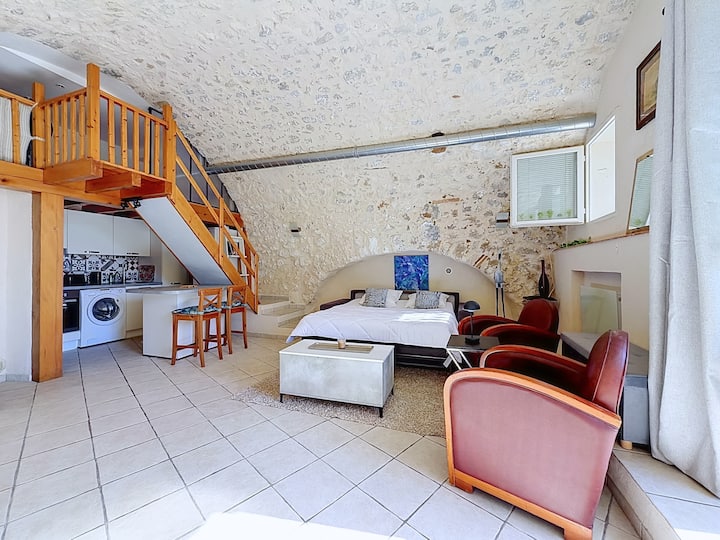 Appartement De Charme - Carros Village - Carros