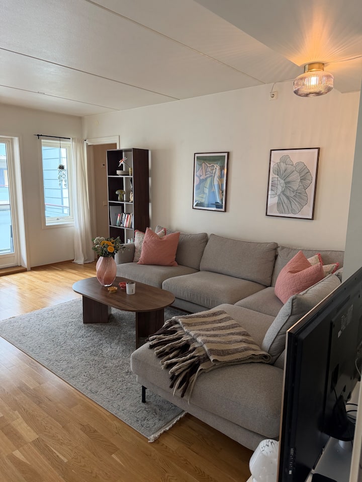 Moderne Leilighet Midt I Hjertet Av Oslo. - Oslo