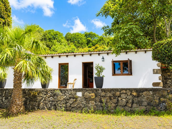 Las Rosas - El Nogal - Tenerife