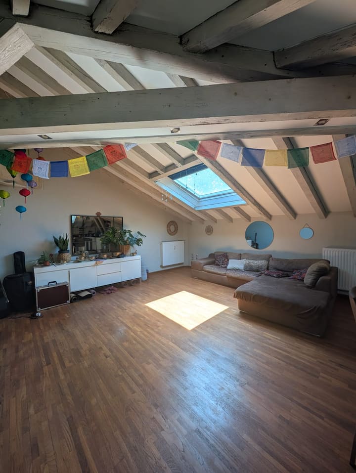 Charmant T3 Dans Une Maison De Maître - Montpellier